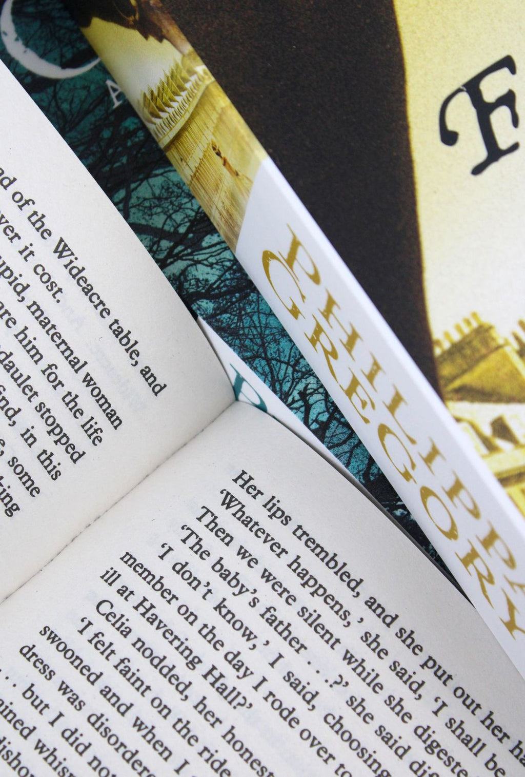 The Complete Wideacre Trilogy 3 book set Inc Wideacre, The Favoured Ch ...